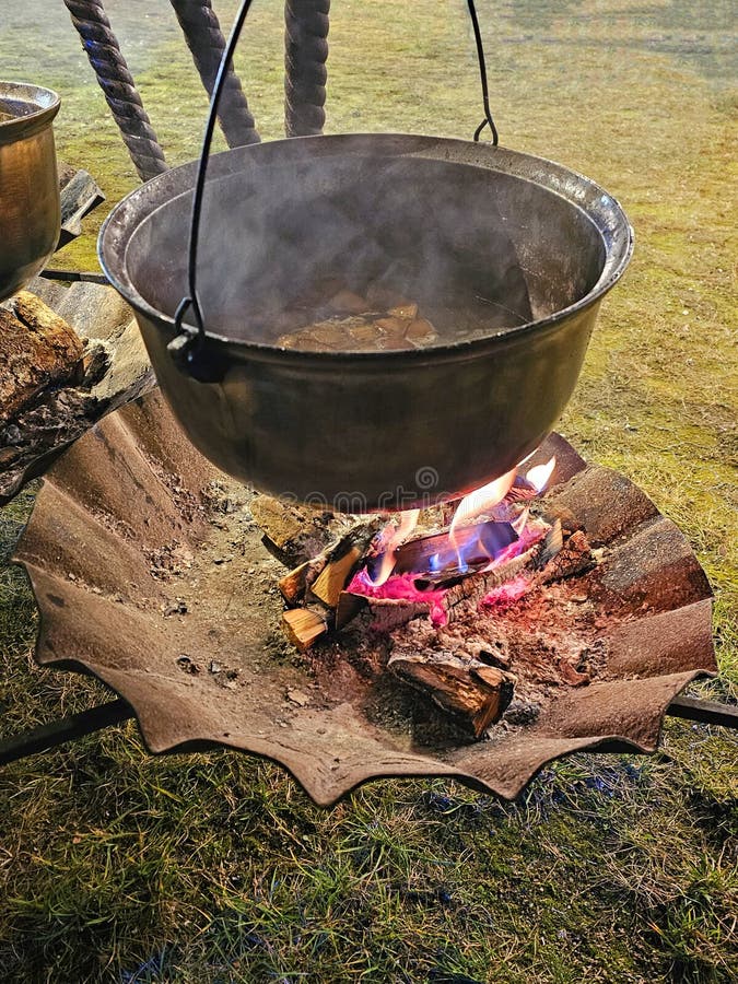 Cooking food on the fire stock photo. Image of camp - 361182606