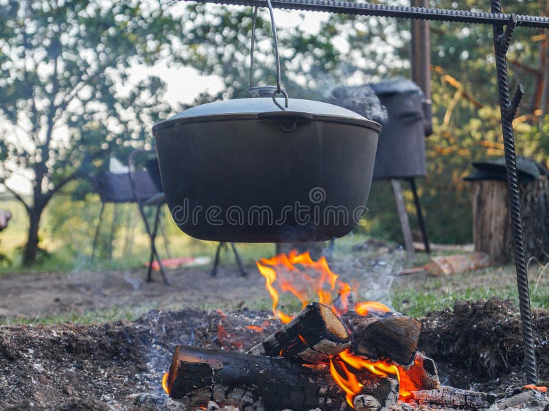 Cooking food on fire stock photo. Image of backyard - 284357456