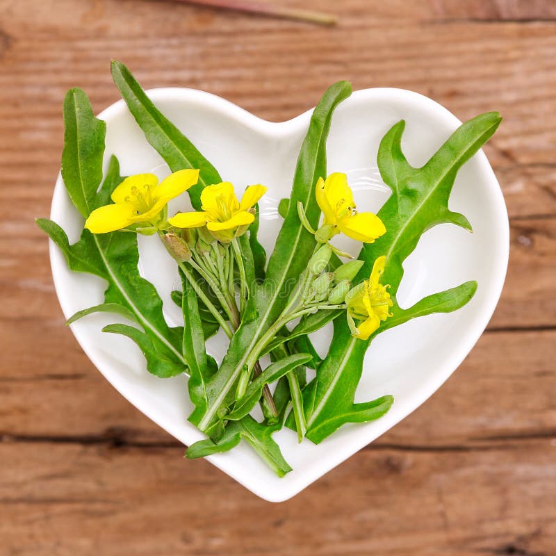 Cooking with fresh rocket stock image. Image of collection - 77084289