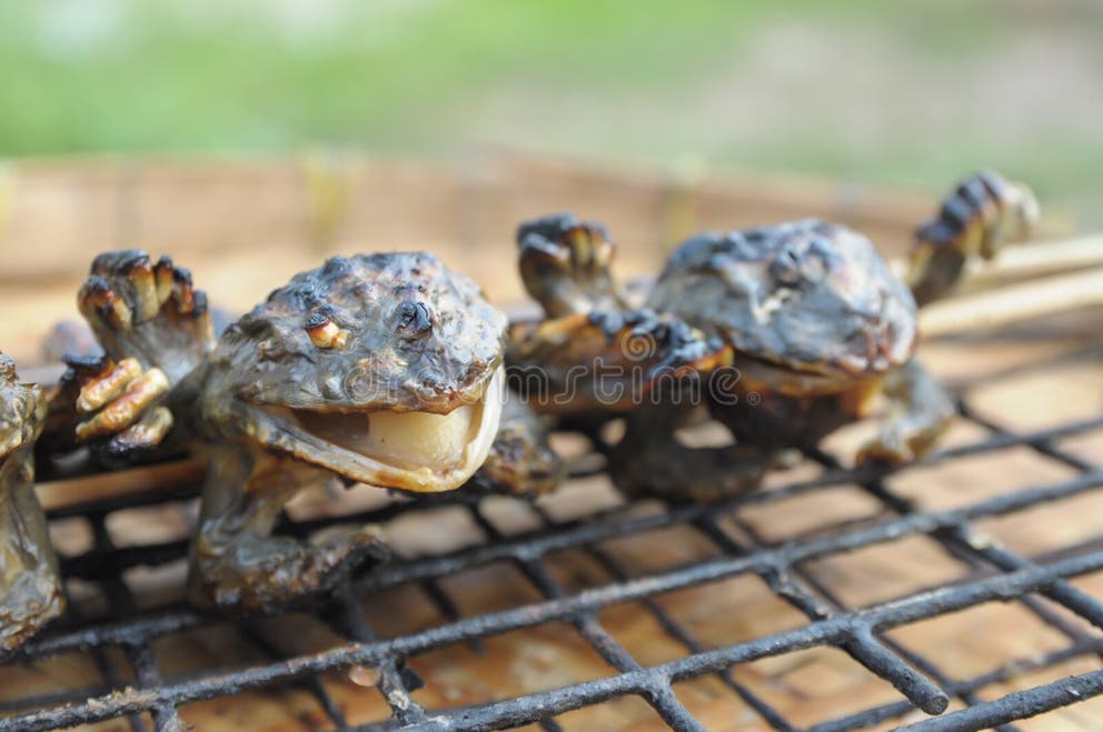 Cooking of grill frog stock photo. Image of taste, barbecue - 29812824