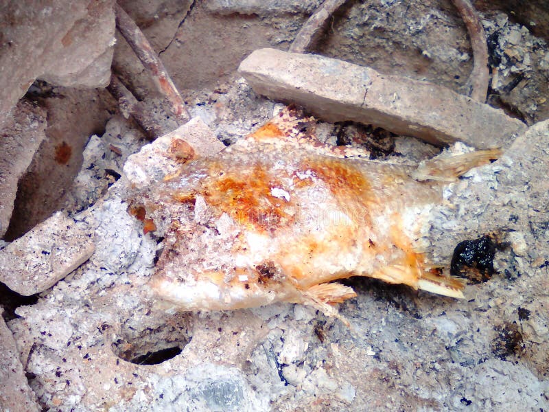 Dry fish stock image. Image of grilled, fish, heat, cooking - 78452671