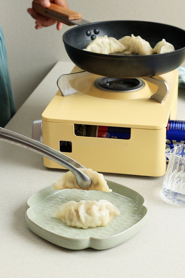 Cooking Gyoza on the Stove stock photo. Image of gyozas - 273085352
