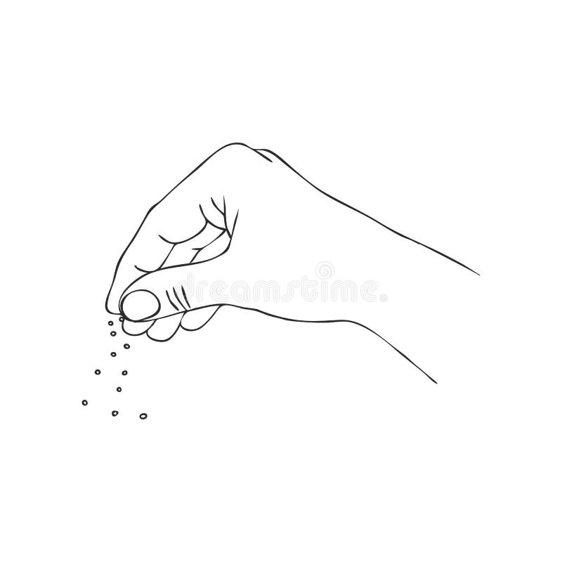 Cooking hand with salt stock vector. Illustration of female - 86347251