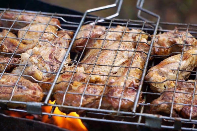 Cooking Meat on Barbecue Goose Stock Photo - Image of barbeque, fire ...