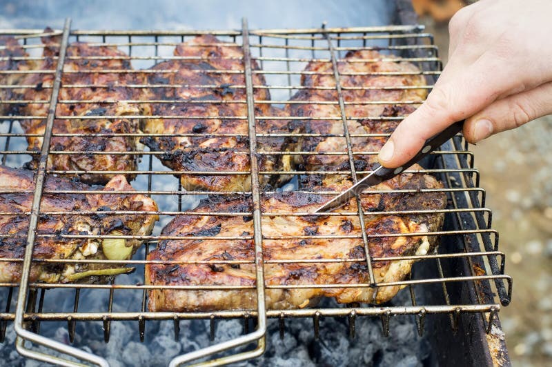 Cooking Meat on the Grill in the Spring Stock Image - Image of picnic ...