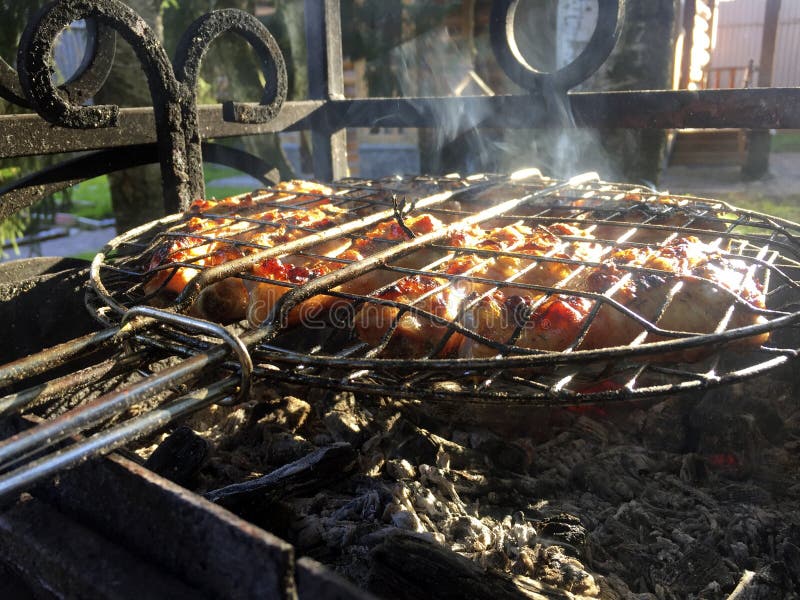 Meat on fire in the forest stock photo. Image of roast - 135243432