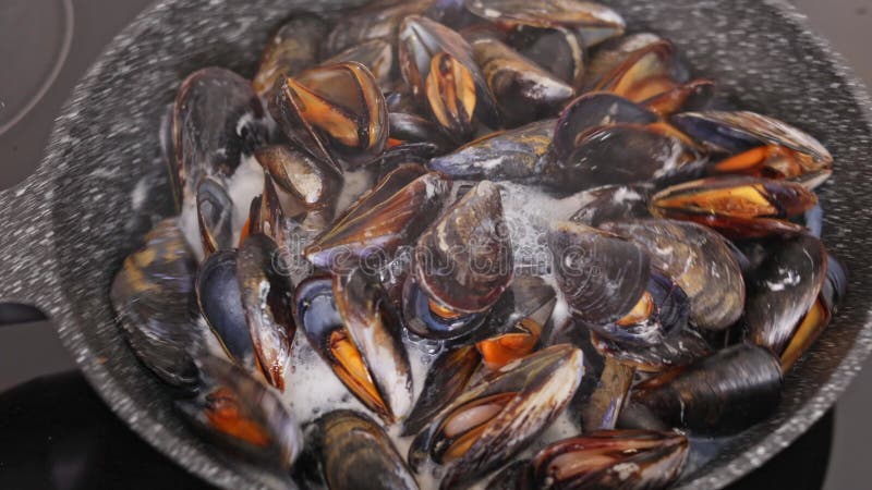 Cooking Mussels in a Pan at Home Stock Video - Video of food, shellfish ...