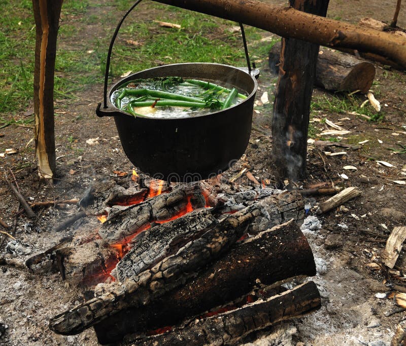 Cooking in the Nature. Cauldron on Fire in Forest Stock Photo - Image ...