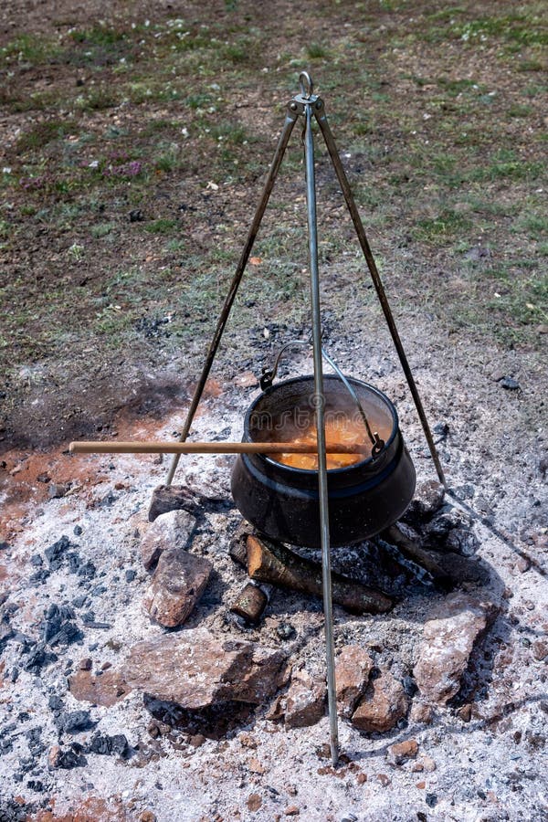 Cooking in the nature stock photo. Image of spicy, homemade - 304147494