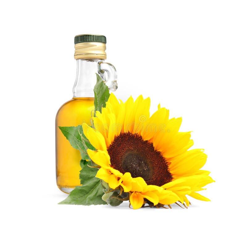 Cooking Oil in Glass Bottle and Bright Sunflower Isolated on White ...
