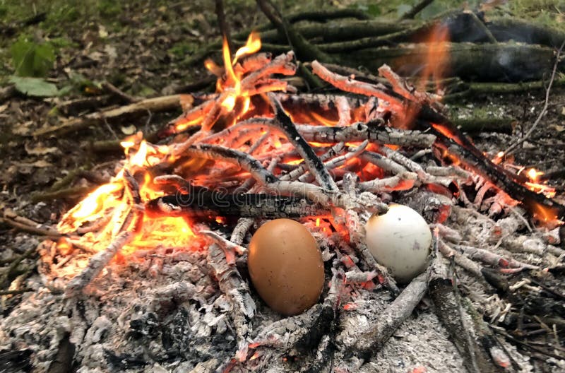 Cooking on an Open Fire during Bushcraft in the Woods Stock Image ...