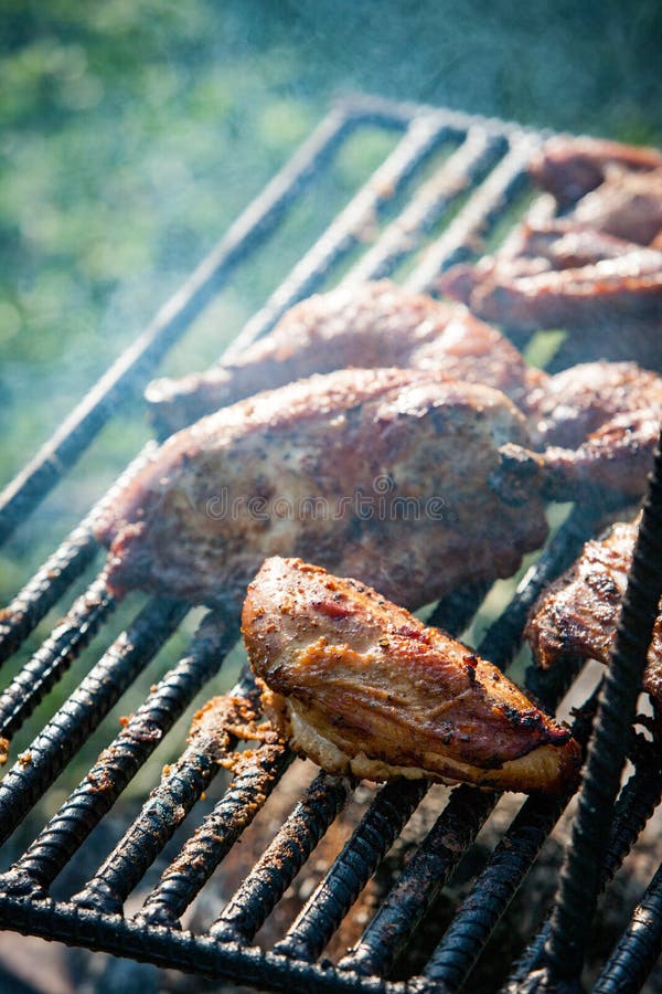 Cooking on an open fire stock image. Image of meal, grilled - 60448189