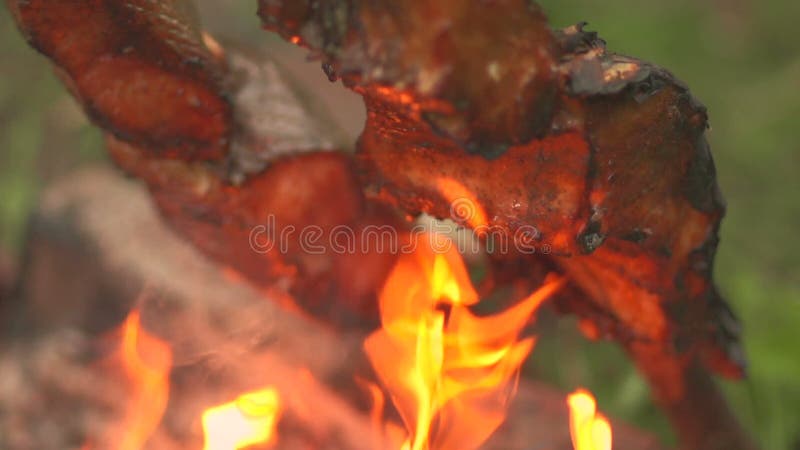 Fire Side View Driving Isolated Green Screen Stock Video - Video of ...