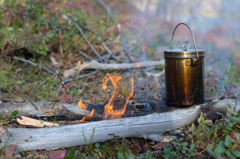 Cooking in a Pot Over the Fire. Stock Photo - Image of leisure, burning ...