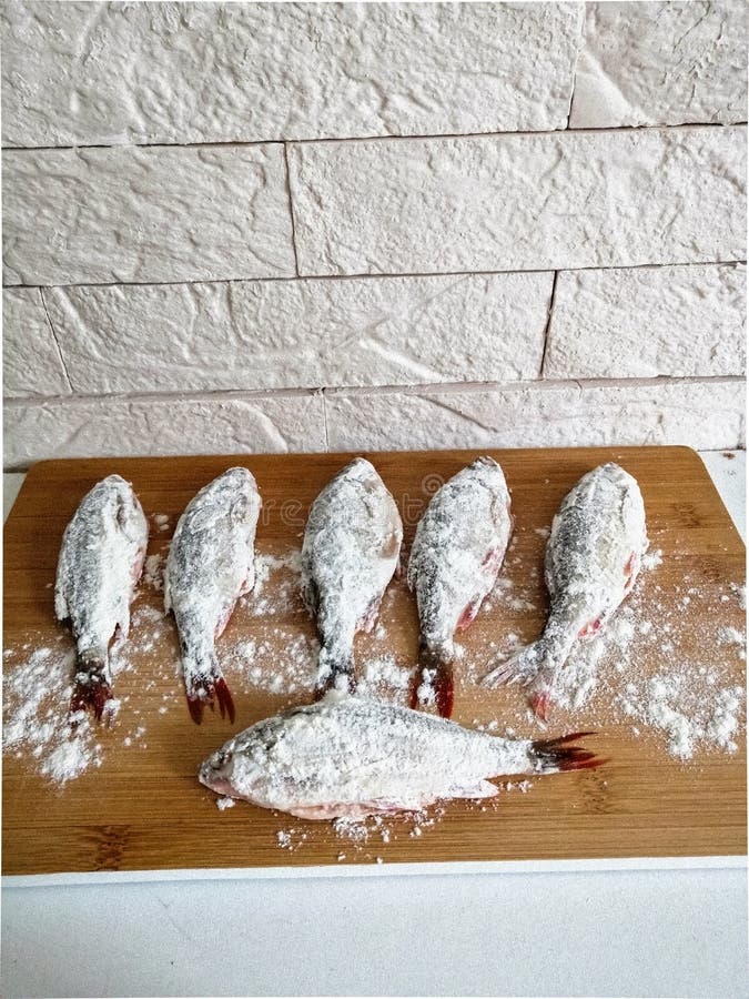 The Cooking Process,fish in Flour Stock Image - Image of fish, wall ...