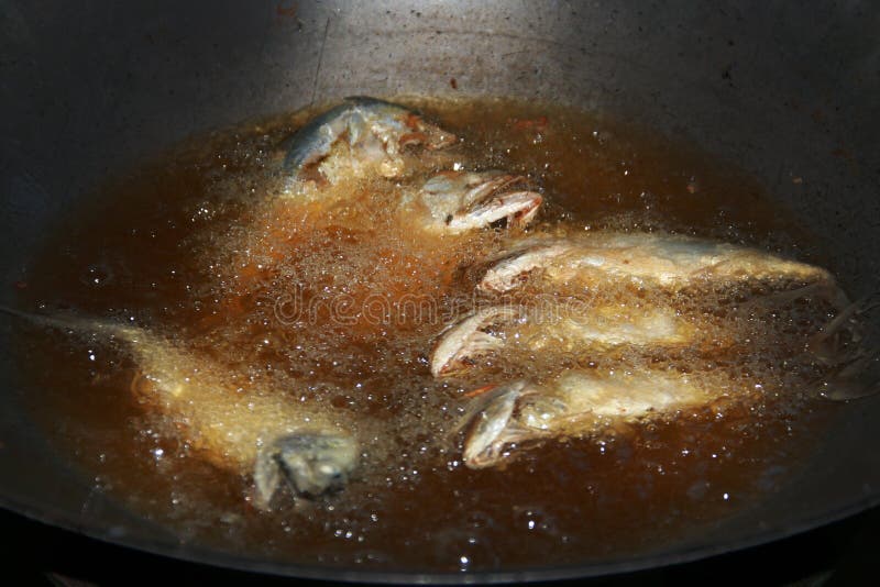 Cooking Seafood Menu with Fish on Hot Oil Stock Image - Image of heat ...