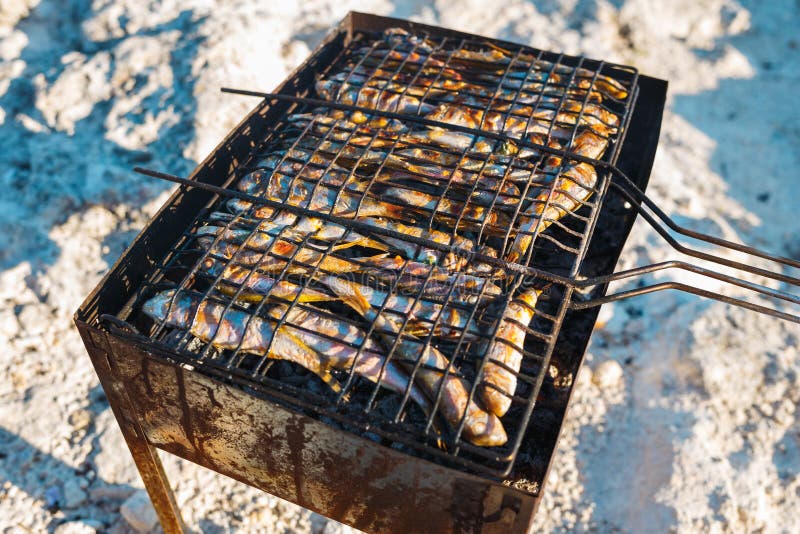 Cooking Small Fish on the Grill on the Beach Stock Photo - Image of ...