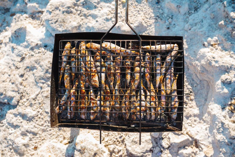Cooking Small Fish on the Grill on the Beach Stock Image - Image of ...