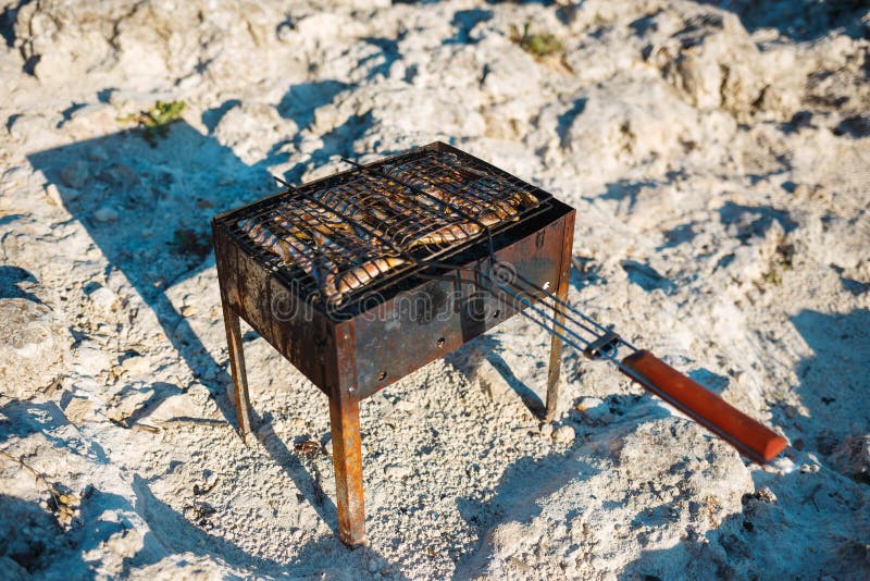 Cooking Small Fish on the Grill on the Beach Stock Image - Image of ...