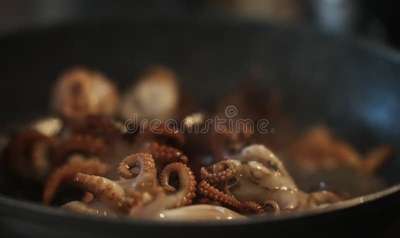 Cooking small octopuses stock image. Image of japanese - 265528045