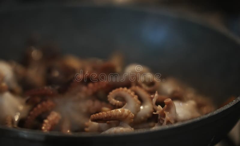 Cooking small octopuses stock photo. Image of cooked - 265528050