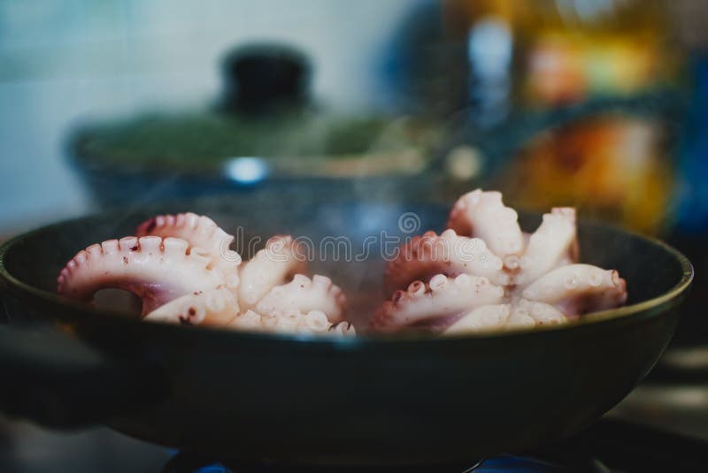Cooking small octopuses stock image. Image of delicatessen - 267234635