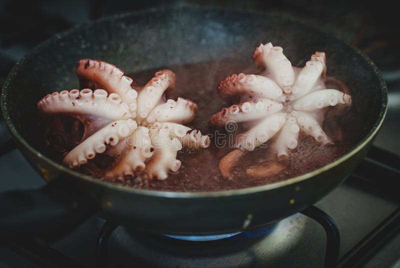 Cooking small octopuses stock photo. Image of korean - 267234636