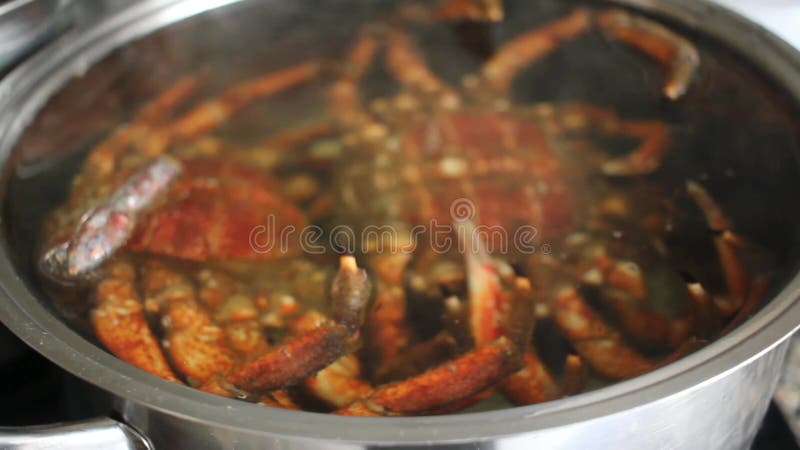 Cooking Spider Crubs at Home Stock Video - Video of : 275760877