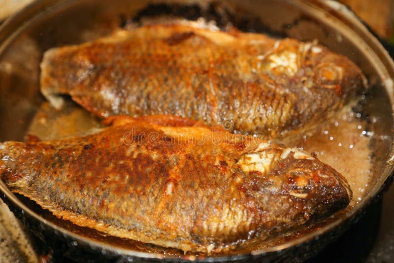 Tilapia Fish Fried in a Pan Close Up Stock Image - Image of fresh ...
