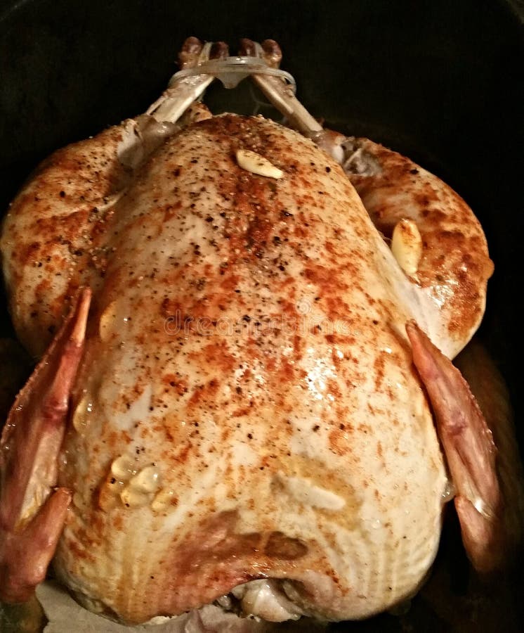 Cooking turkey in roaster stock image. Image of roaster - 81113273