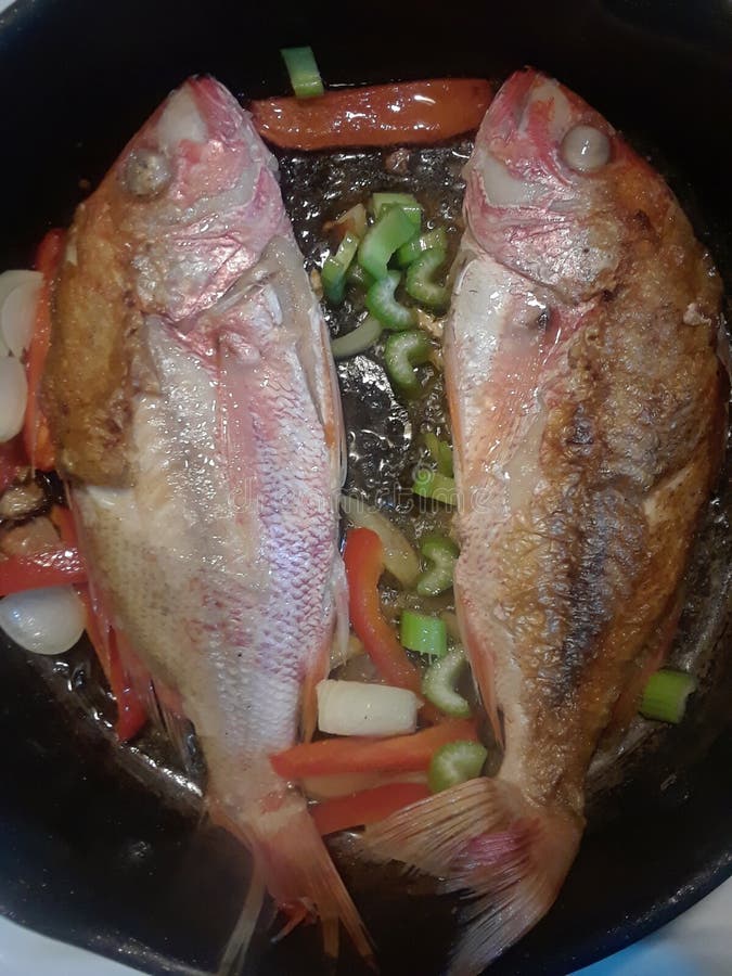 Cooking two fish stock image. Image of fish, cooking - 126317923