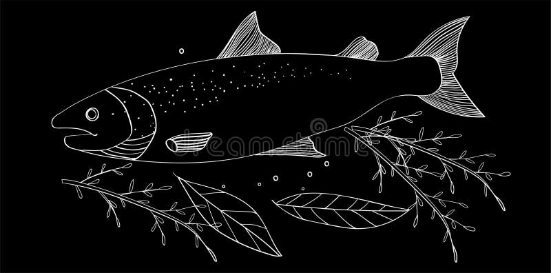 Chalkboard Fish Bar Hand Drawn Illustration. Stock Vector ...