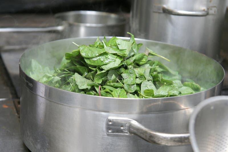 Cooking vegetable stock image. Image of lunch, chef, utensil - 7947081