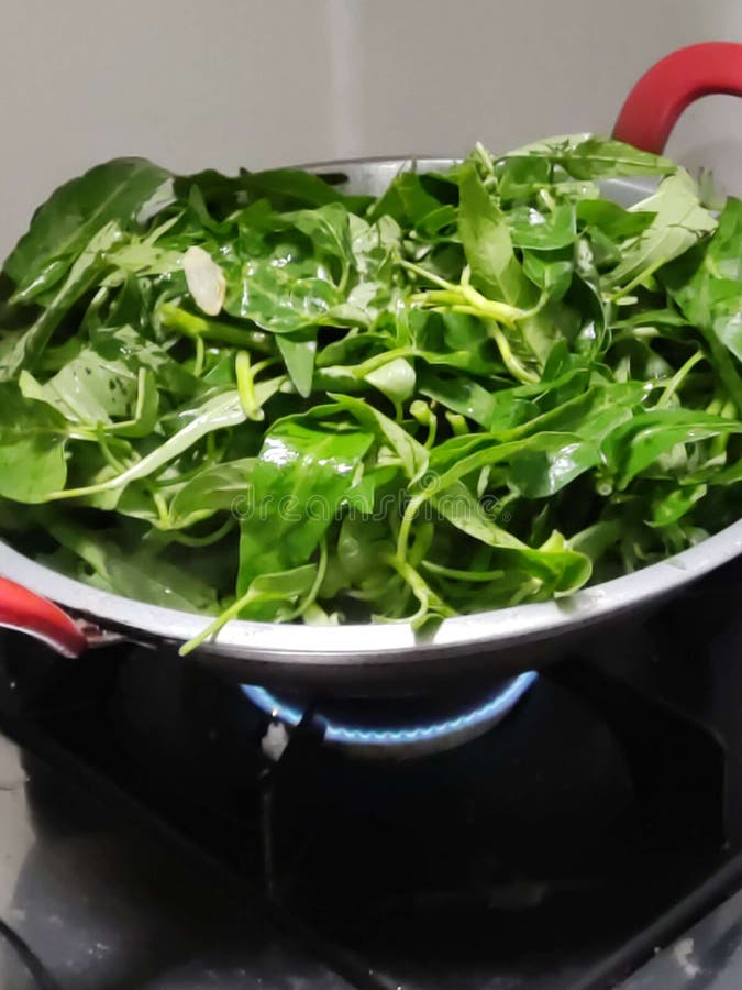 Cooking Water spinach stock image. Image of fried, vegetable - 272923201