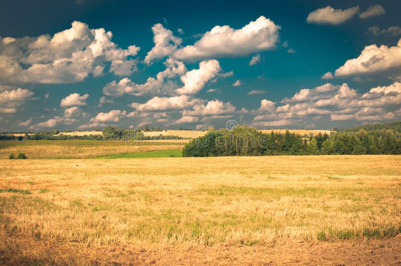 Cool agriculture stock image. Image of corn, field, east - 44693063
