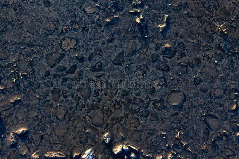 Cool Background of Gravel Ground with Interesting Textures - Great for ...