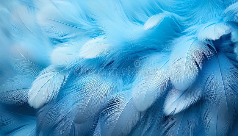 Background Made of Soft Light Blue Feathers on Studio Wallpaper Stock ...