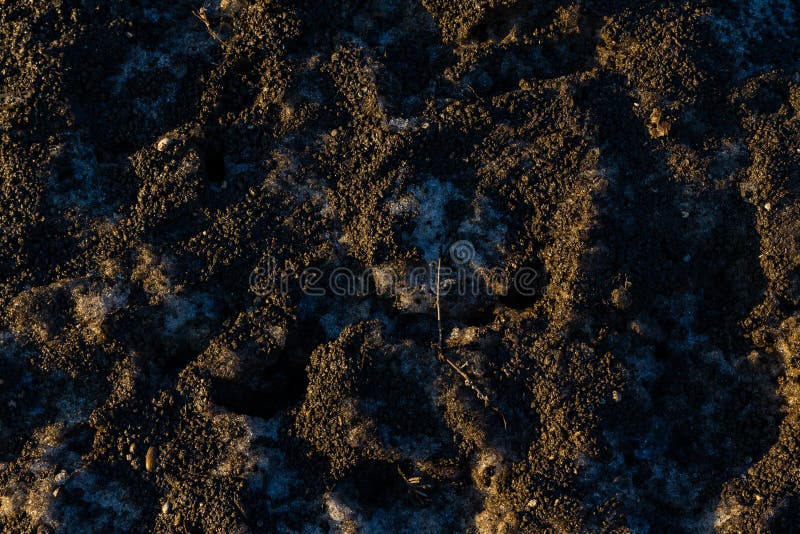 Cool Background of a Muddy Ground Covered with Melted Snow - Great for ...
