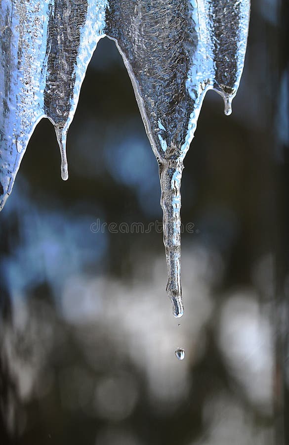 Cool Blue Icicle Melting Away Stock Photo - Image of nature, melting ...