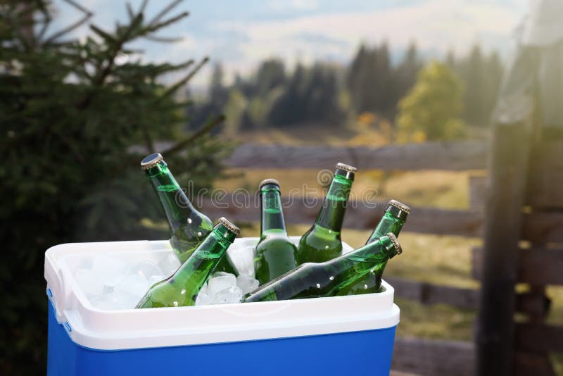 Cool Box with Bottles of Beer in Nature Stock Photo - Image of journey ...
