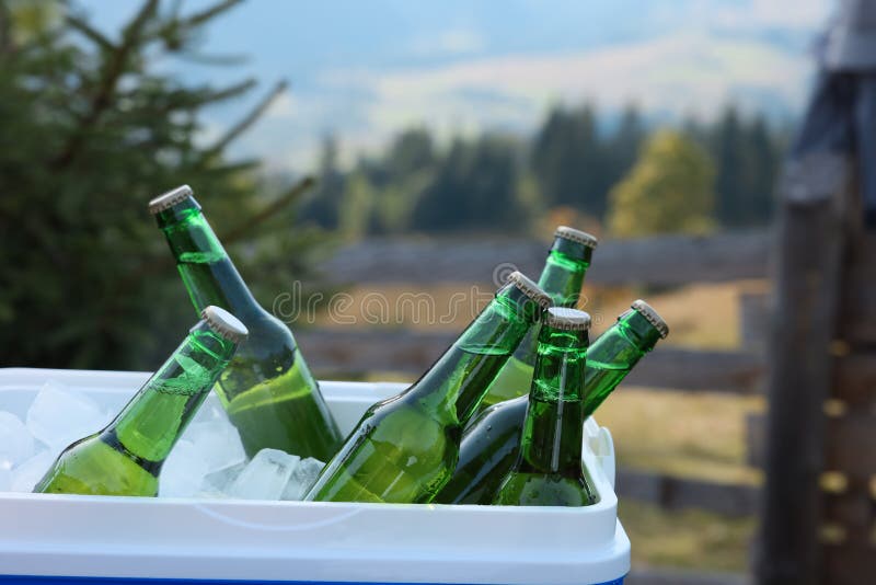 Cool Box with Bottles of Beer in Nature, Closeup Stock Photo - Image of ...