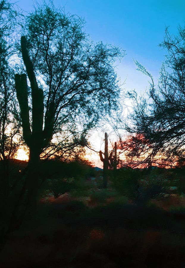 Cool Breeze of Fall Sonoran Twilight Stock Image - Image of sonoran ...