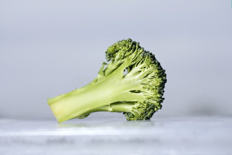 Cool Broccoli stock photo. Image of freeze, food, cool - 2005968
