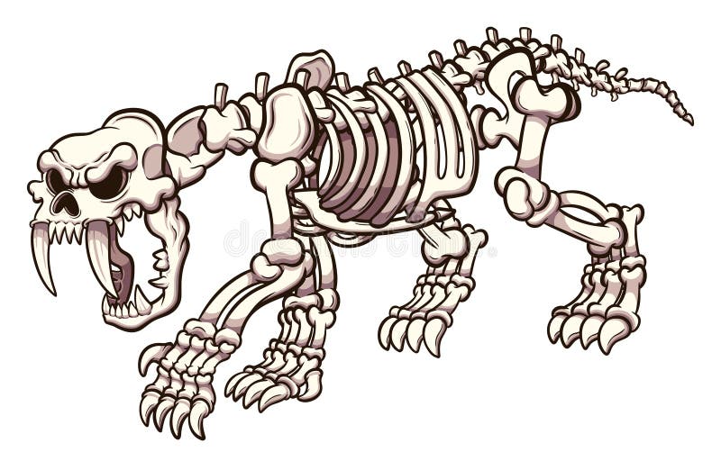 Cartoon Sabertooth Skeleton. Vector Illustration with Simple Gradients ...