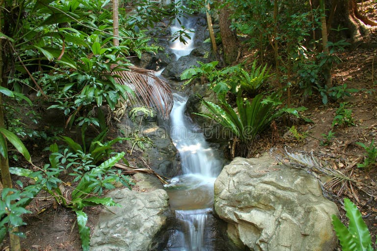 Cool Cascade stock photo. Image of jungle, rainforest - 1082692