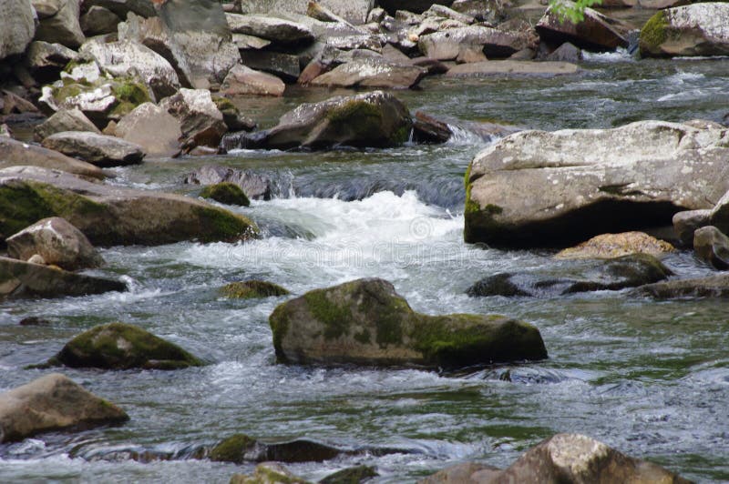 Free running stream stock image. Image of nature, rapid - 266765449