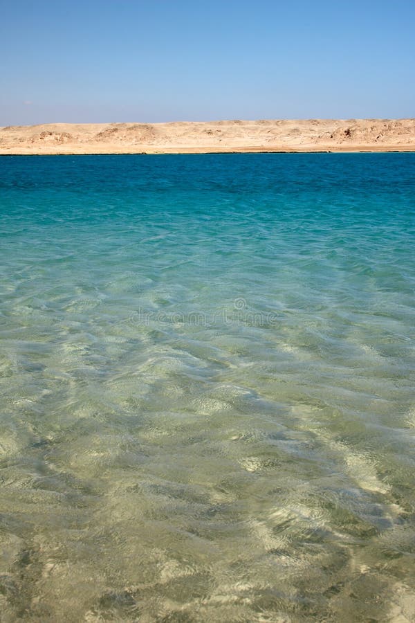 Cool Clear Water of Red Sea in Egypt Stock Image - Image of coast ...