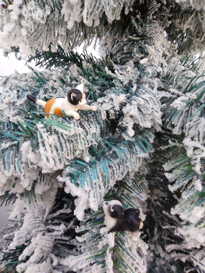 Cool cute cat and dog stock photo. Image of winter, cute - 265310486