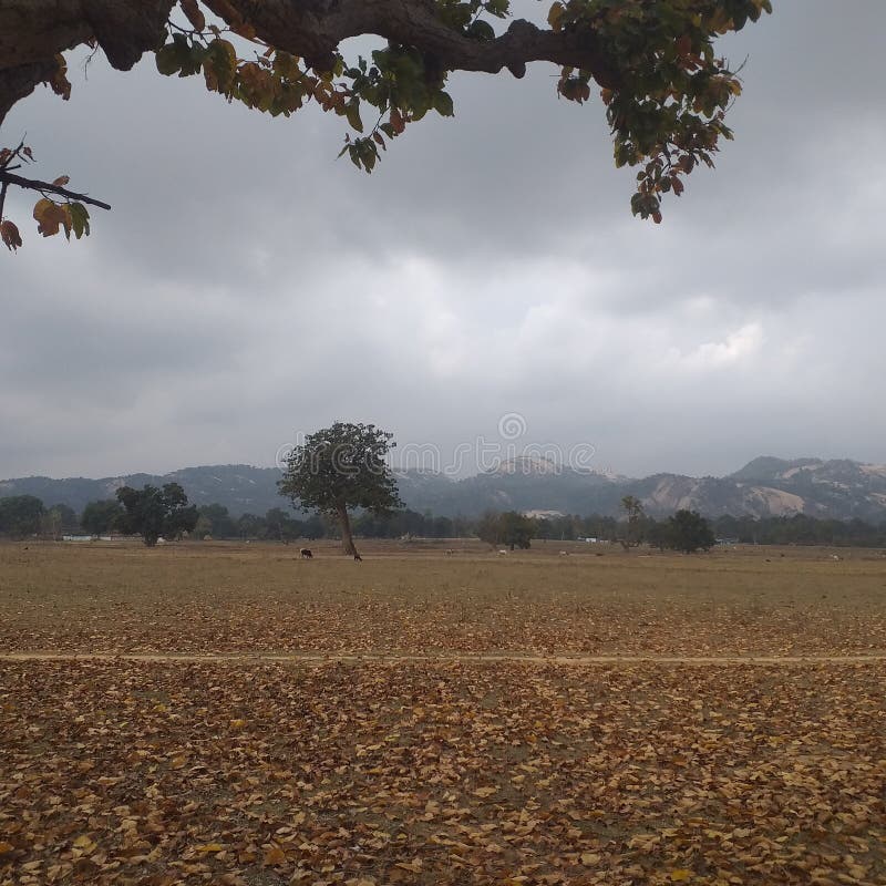 Cool days stock image. Image of nature, landscape, cool - 173924149