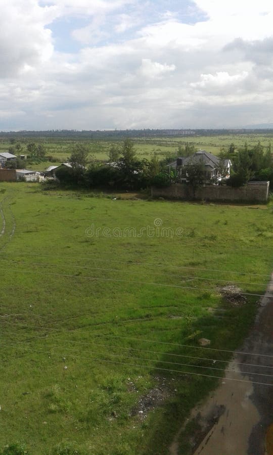 Cool environment stock photo. Image of environment, cool - 116342722